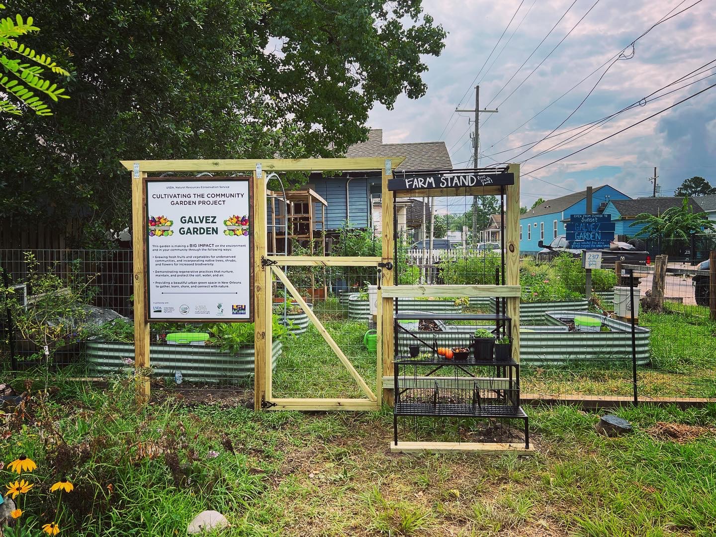 Growing Food for the Community: New Farm Stand Installed at the Galvez ...